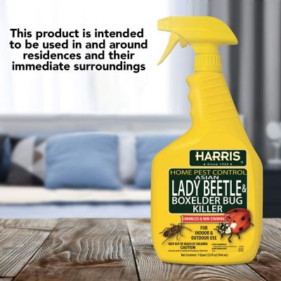 Harris 32 oz. Lady Beetle and Box Elder Bug Killer at Tractor Supply Co.