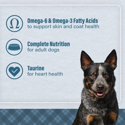 Nutrena Loyall Life Adult Lamb and Brown Rice Recipe Dry Dog Food, 40 ...