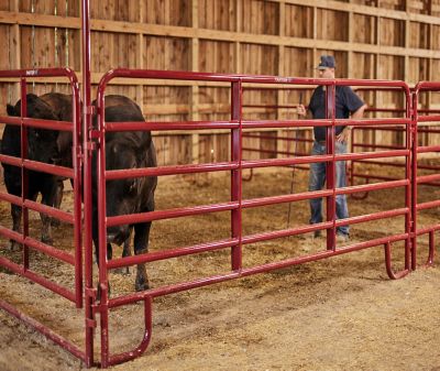Tarter 10 ft. 6-Bar Extra Heavy-Duty Red Corral Panel, 2 in. Tube at ...