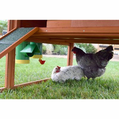 Rugged Ranch 10 lb. High-End Hen Chicken Feeder at Tractor Supply Co.