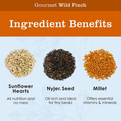 Royal Wing Total Care Wild Finch Wild Bird Food, 4.5 lb. at Tractor ...