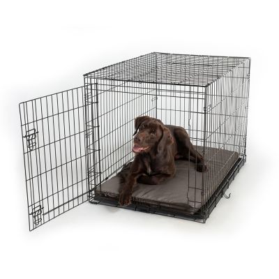 Snoozer Pet Luxury Forgiveness Dog Crate Pad at Tractor Supply Co