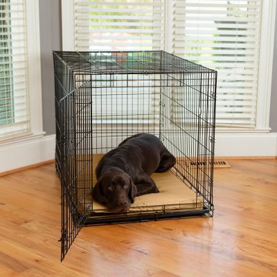 Snoozer Pet Luxury Forgiveness Dog Crate Pad at Tractor Supply Co