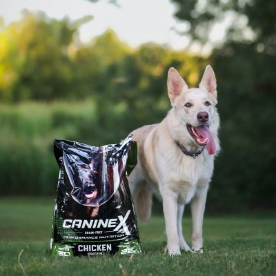 Sportmix CanineX All Life Stages Performance Grain-Free Chicken Recipe ...