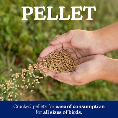 Nutrena NatureWise All Flock Pelleted Poultry Feed, 40 lb. Bag at ...