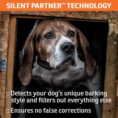 SportDOG Rechargeable NoBark Premium Bark Control Dog Collar at Tractor ...