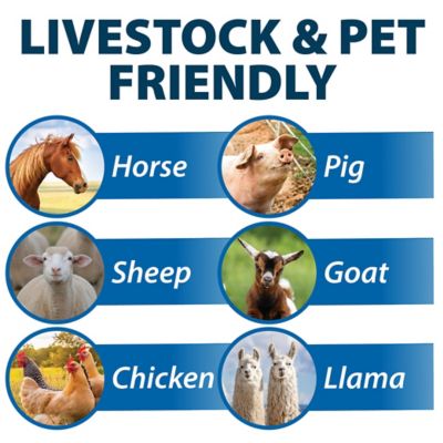 Airmax Stock Tank Defense Tablets, 12 Month Supply, 24 Tablets at ...