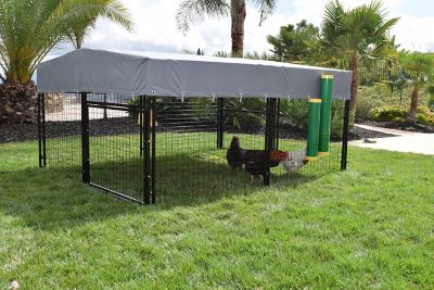 Rugged Ranch Welded Wire Chicken Pen Canvas Top at Tractor Supply Co.