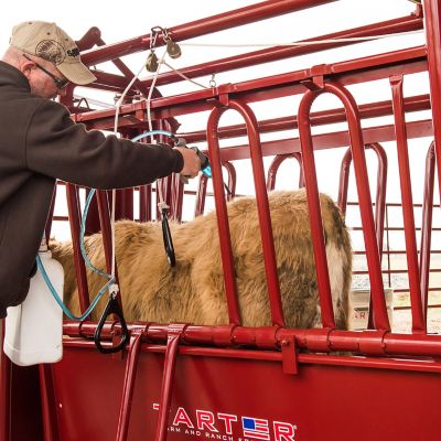 Tarter CattleMaster Series 3 Standard Squeeze Chute with Automatic ...