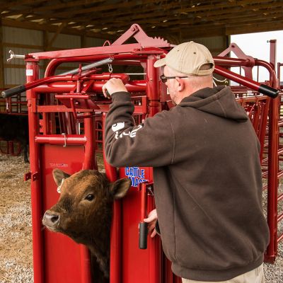 Tarter CattleMaster Series 3 Standard Squeeze Chute with Automatic ...