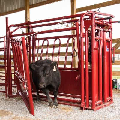 Tarter CattleMaster Series 3 Standard Squeeze Chute with Automatic ...