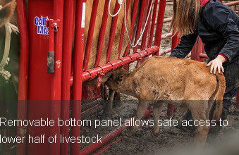 Tarter CattleMaster Series 3 Standard Squeeze Chute with Automatic ...