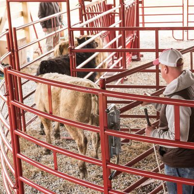 Tarter Value 90 Sweep Tub System at Tractor Supply Co.