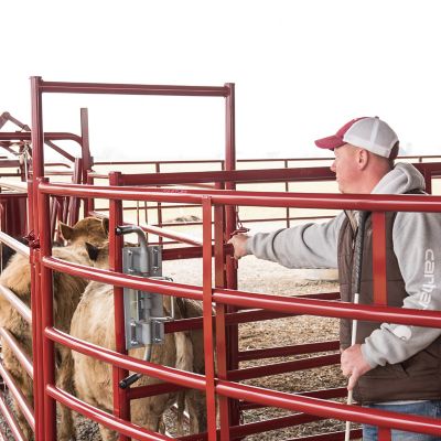 Tarter Value 90 Sweep Tub System at Tractor Supply Co.