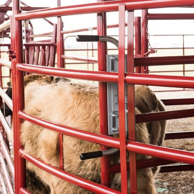 Tarter Value 90 Sweep Tub System at Tractor Supply Co.