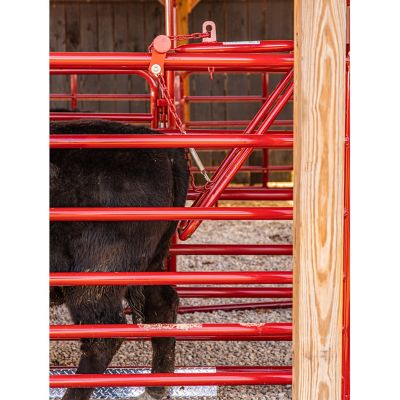 Tarter No Back Alley Stop at Tractor Supply Co.