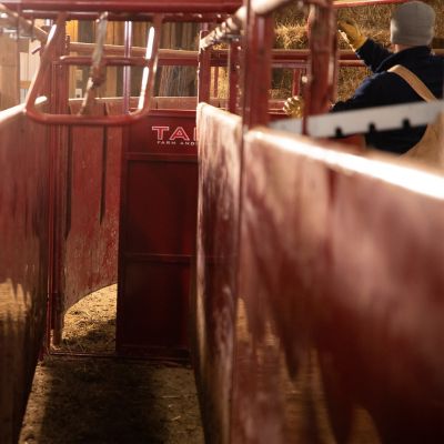 Tarter Sliding Alley Gate, Red at Tractor Supply Co.