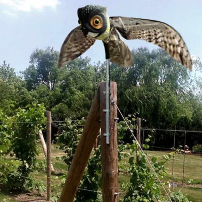 Bird-X 6 in. Flying Owl Decoy with Moving Wings at Tractor Supply Co.
