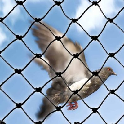 Bird-X 50 ft. x 50 ft. Knotted Heavy-Duty Bird Netting at Tractor ...