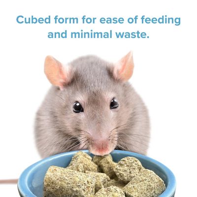 Kent 23 % Cubed Rodent Diet Feed, 50 lb. Bag at Tractor Supply Co.