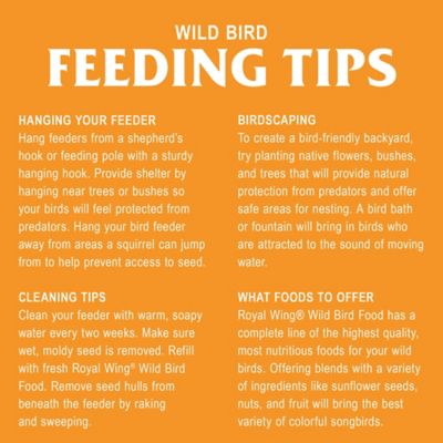 Royal Wing 4 Stacker Bird Feeder at Tractor Supply Co.