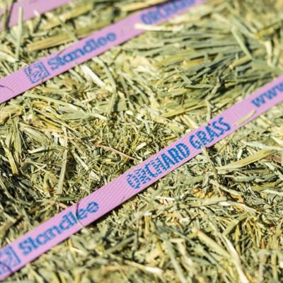 Standlee Premium Western Forage Orchard Grass Grab and Go Compressed ...