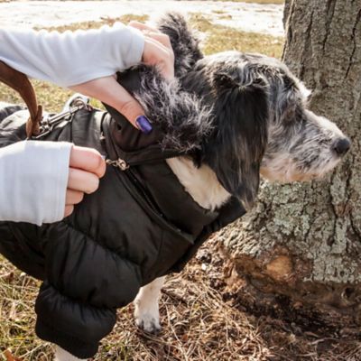 Pet Life Classic Metallic Fashion Insulated Dog Coat with Removable ...