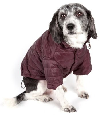 Pet Life Sporty Avalanche Lightweight Adjustable Dog Jacket with Hood ...