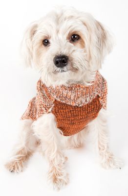 Pet Life Royal Bark Designer Fashion Heavy Cable Knitted Dog Sweater, S ...
