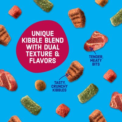 Kibbles 'n Bits Bistro Adult Oven-Roasted Beef Recipe Dry Dog Food, 45 ...