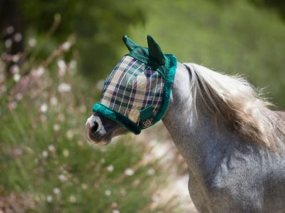Kensington Signature Fly Mask w/Removable Nose, Soft Mesh Ears ...