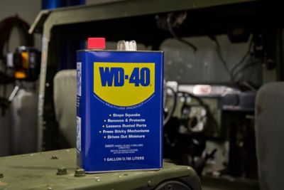 WD-40 1 gal. Multi-Use Product, Lubricates and Protects Metal from Rust ...