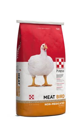 Purina Meat Bird Non-Medicated Crumbles Chicken Feed, 40 lb. Bag at ...