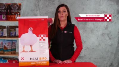 Purina Meat Bird Non-Medicated Crumbles Chicken Feed, 40 lb. Bag at ...