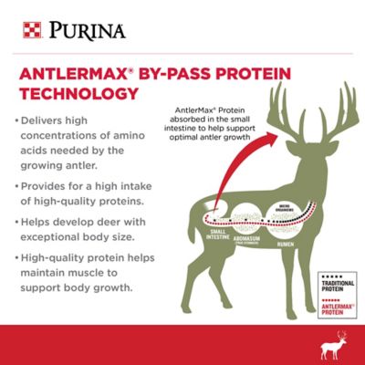 Purina AntlerMax Pelleted Deer Feed 20 with Climate Guard and Bio LG ...