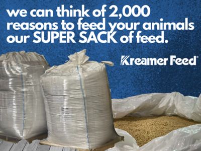 Kreamer Feed Conventional Egg Layer Pelleted Chicken Feed Tote, 2,000 ...