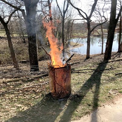 Sportsman Series Folding Steel Fire Cage at Tractor Supply Co.