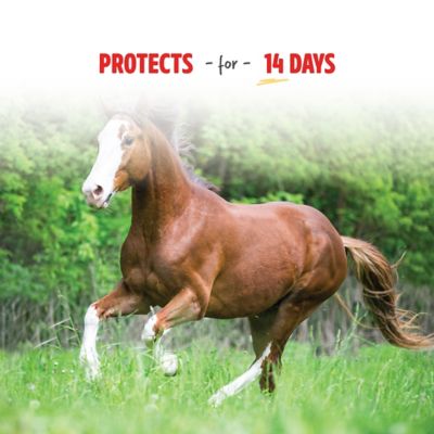 Manna Pro Pro-Force Fly Spray for Horses and Dogs, 1 gal. at Tractor ...