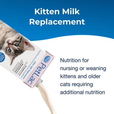 PetAg PetLac Liquid Kitten Milk Replacer, 32 oz. at Tractor Supply Co.
