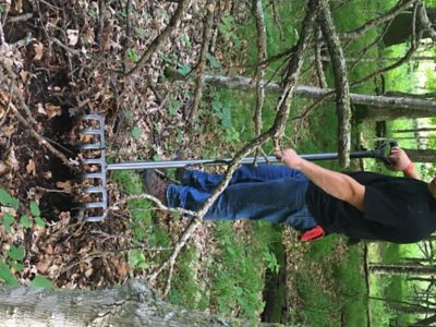 Timber Tuff Lawn Cleanup Steel Brush Rake, 7.5 in. Tines at Tractor ...