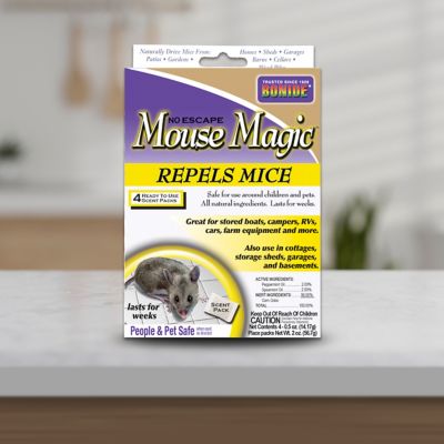 Bonide Mouse Magic Mouse Repellent Scent Packs, Ready-to-Use for Indoor ...