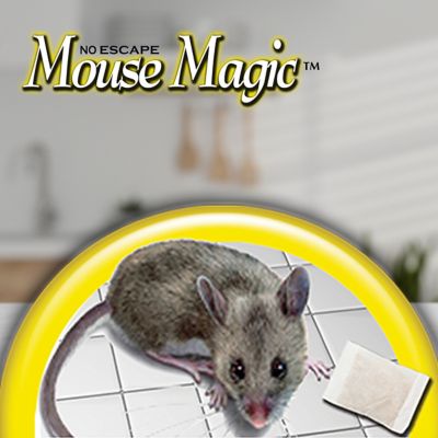 Bonide Mouse Magic Mouse Repellent Scent Packs, Ready-to-Use for Indoor ...