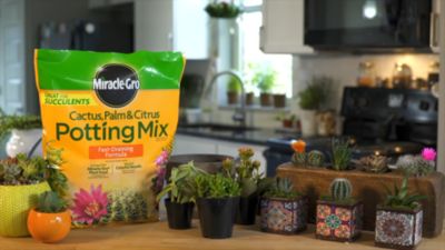 Miracle-Gro 8 qt. Cactus, Palm and Citrus Potting Soil Mix at Tractor ...