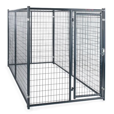 Tarter 10 ft. x 5 ft. x 6 ft. Blue Champion Complete Welded Wire Dog ...