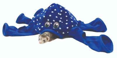 Marshall Octo-Play Ferret Toy at Tractor Supply Co.