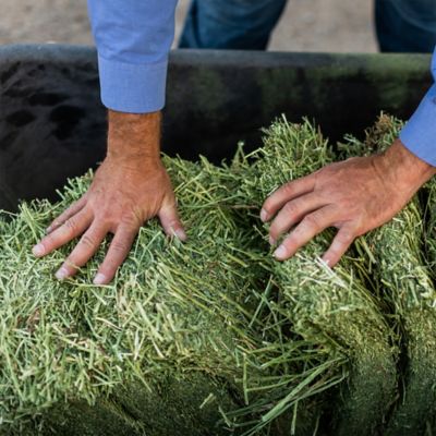 Standlee Premium Western Forage Premium Organic Alfalfa Grab and Go ...