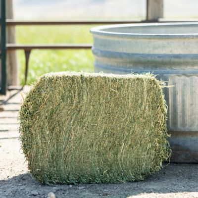 Standlee Premium Western Forage Premium Organic Alfalfa Grab and Go ...