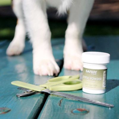 Safari Pet Styptic Powder at Tractor Supply Co.