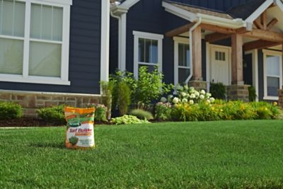 Scotts 13.35 lb. 5,000 sq. ft. Turf Builder SummerGuard Lawn Food with ...