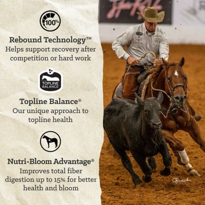 Nutrena ProForce Textured Senior Horse Feed, 50 lb. Bag at Tractor ...